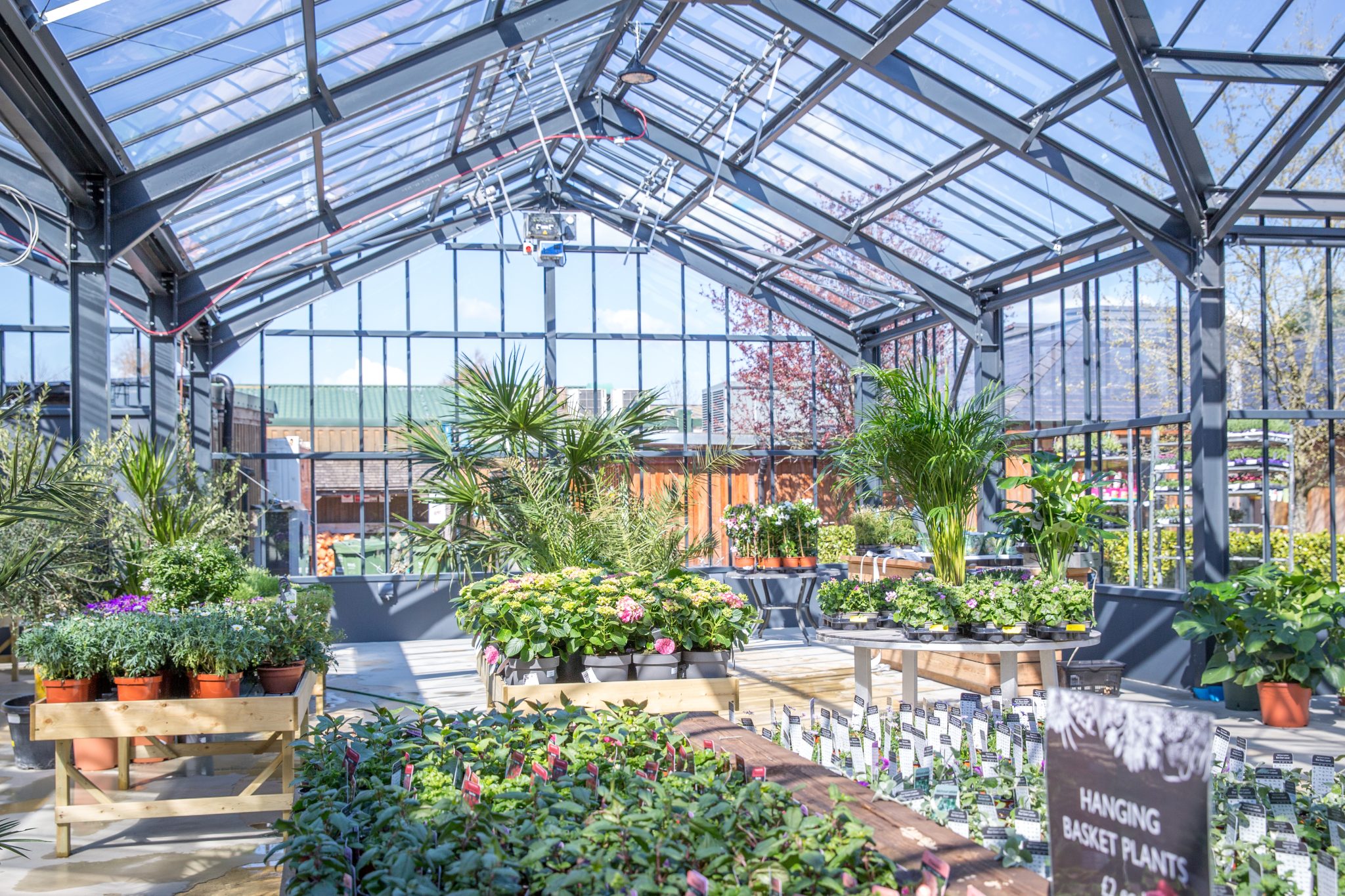 The Hollies Farm Shop – Taste Cheshire